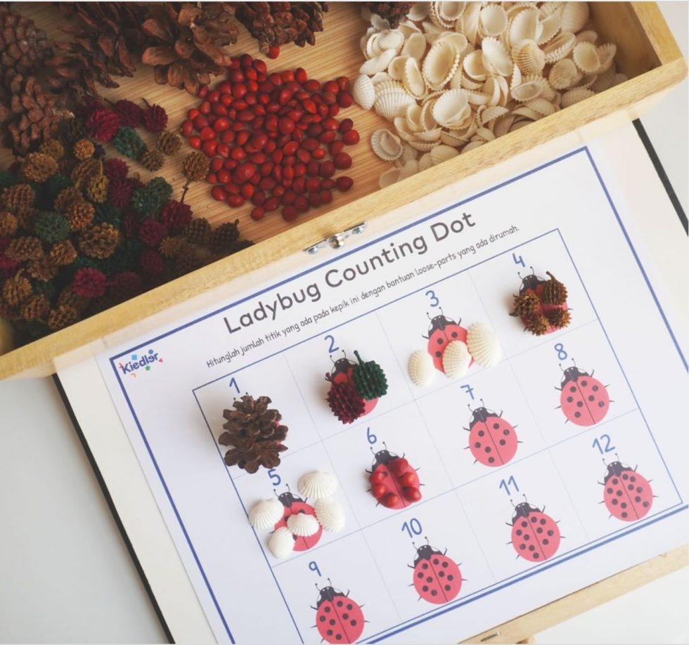 Lady Bug Counting Dot - Kiedler