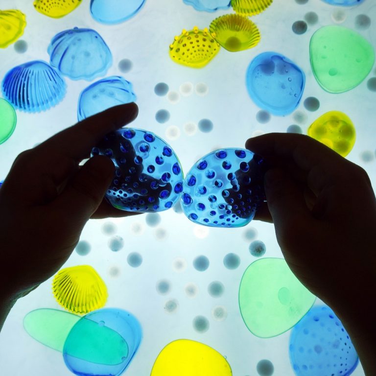 Tactile Shells Matching Sensory Bin - Kiedler